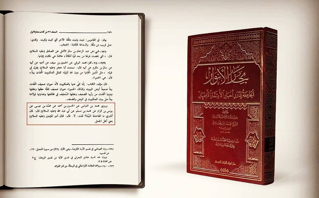 هل تعلم ما هي "فاحشة مبينة" في القران الكريم ؟ - مؤسسة السبطين العالمية