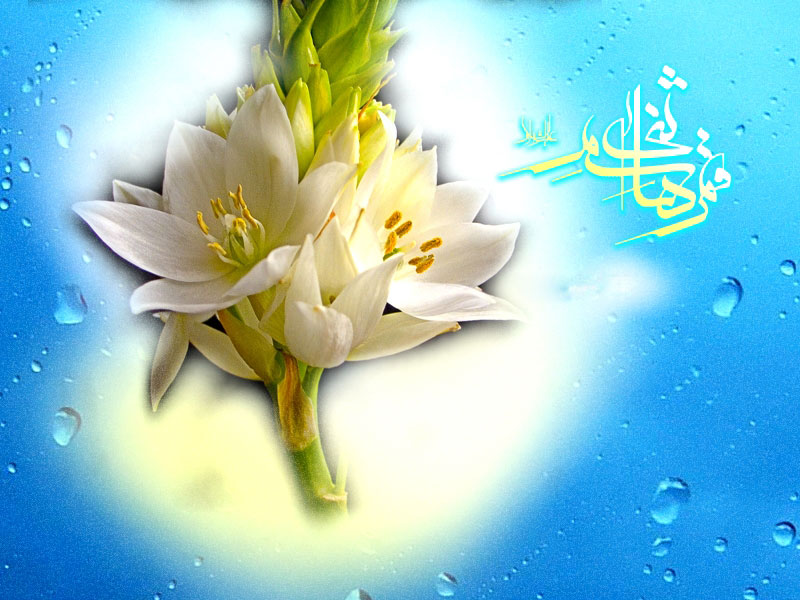 خلفيات بمناسبة ميلاد أبطال كربلاء( عليهم السلام) - منتديات شيعة الحسين ...