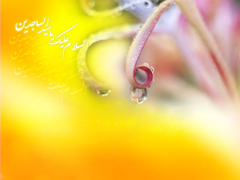 خلفيات بمناسبة ميلاد أبطال كربلاء( عليهم السلام) - منتديات شيعة الحسين ...