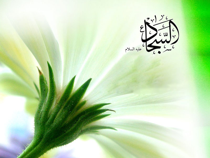 خلفيات بمناسبة ميلاد أبطال كربلاء( عليهم السلام) - منتديات شيعة الحسين ...